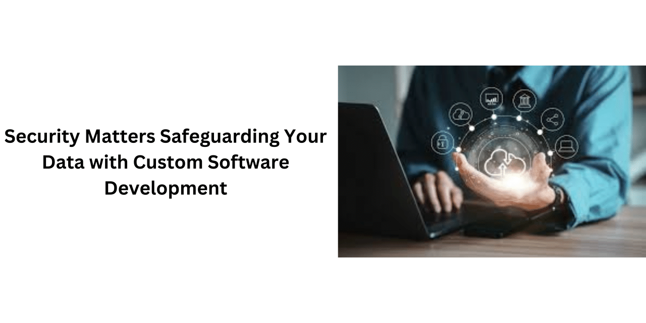 Custom Software Development & Data Protection Strategies